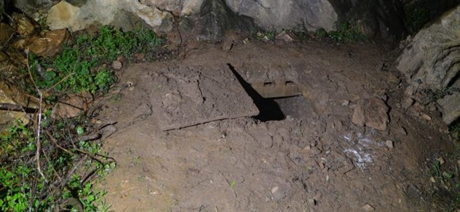 Define avcıları fark edilmemek için yapraktan elbise giydi - Aydın ...