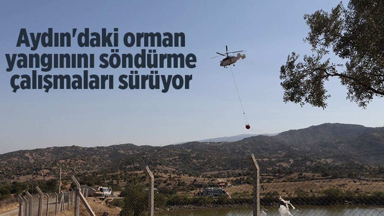 Çine'deki orman yangınını söndürme çalışmaları sürüyor - Aydın Haber ... Çine'deki orman yangınını söndürme çalışmaları sürüyor - Aydın Haber ...
